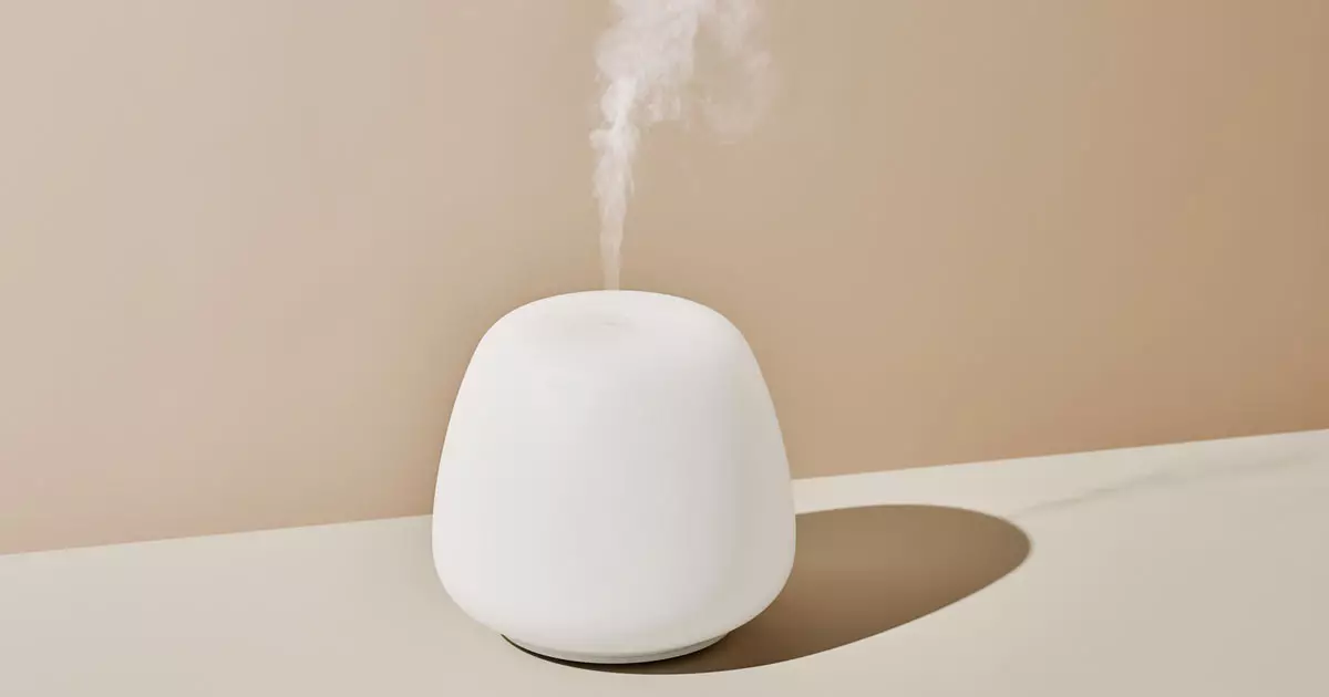 Kedu ihe kpatara ị chọrọ humidifier, dị ka ndị ọkachamara si kwuo