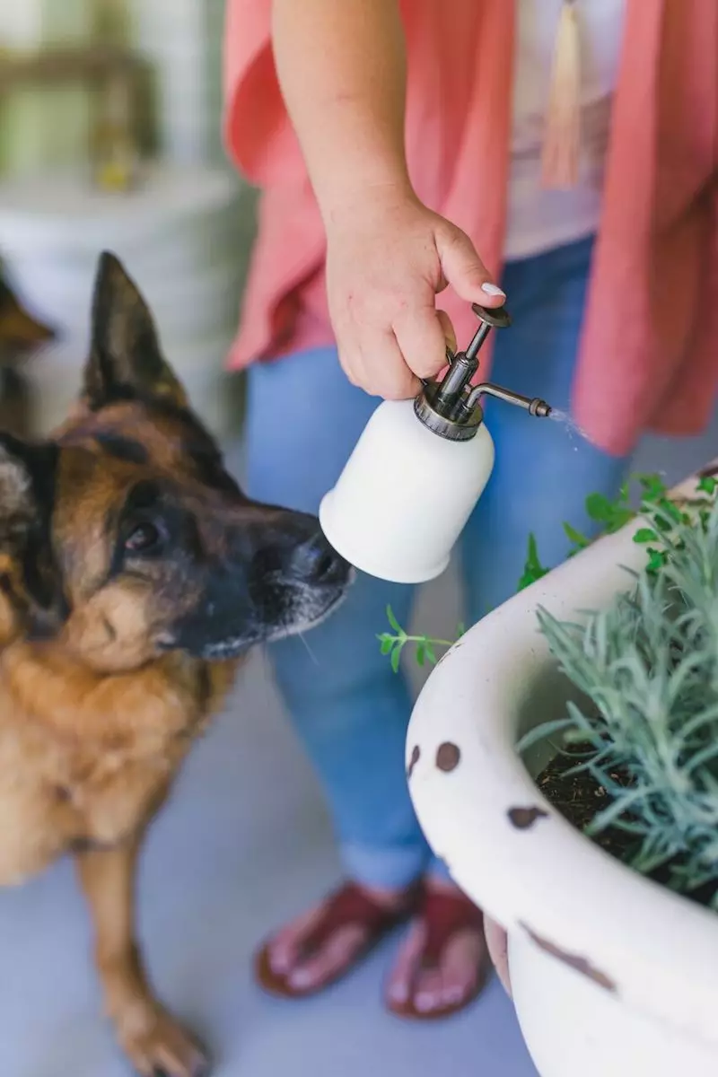 Découvrez comment cette architecte d'intérieur a rénové le patio de son fixateur supérieur 6311_14