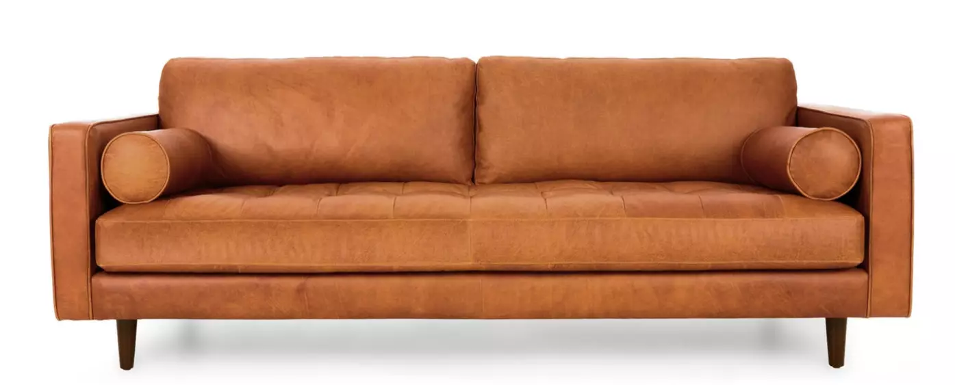 Animaliak onartzen dituzten sofa onenak 6732_10