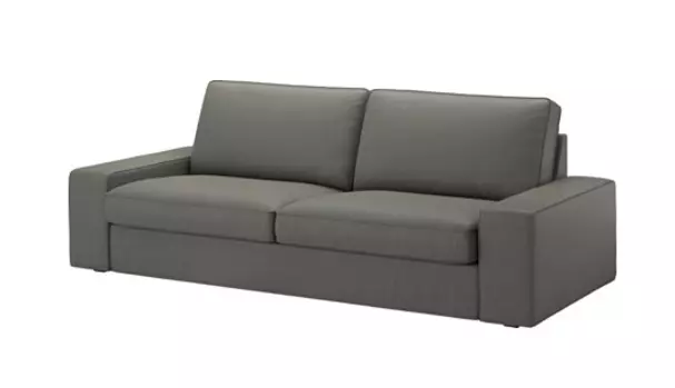 Animaliak onartzen dituzten sofa onenak 6732_3